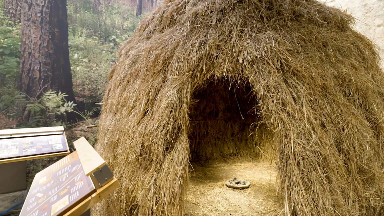 Exhibitions - Choctaw Cultural Center